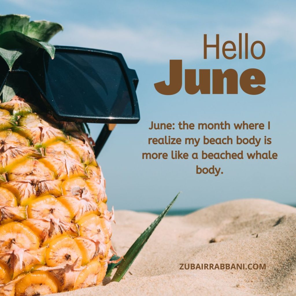 240 Inspiration June Quotes to Spark Summer in 2024