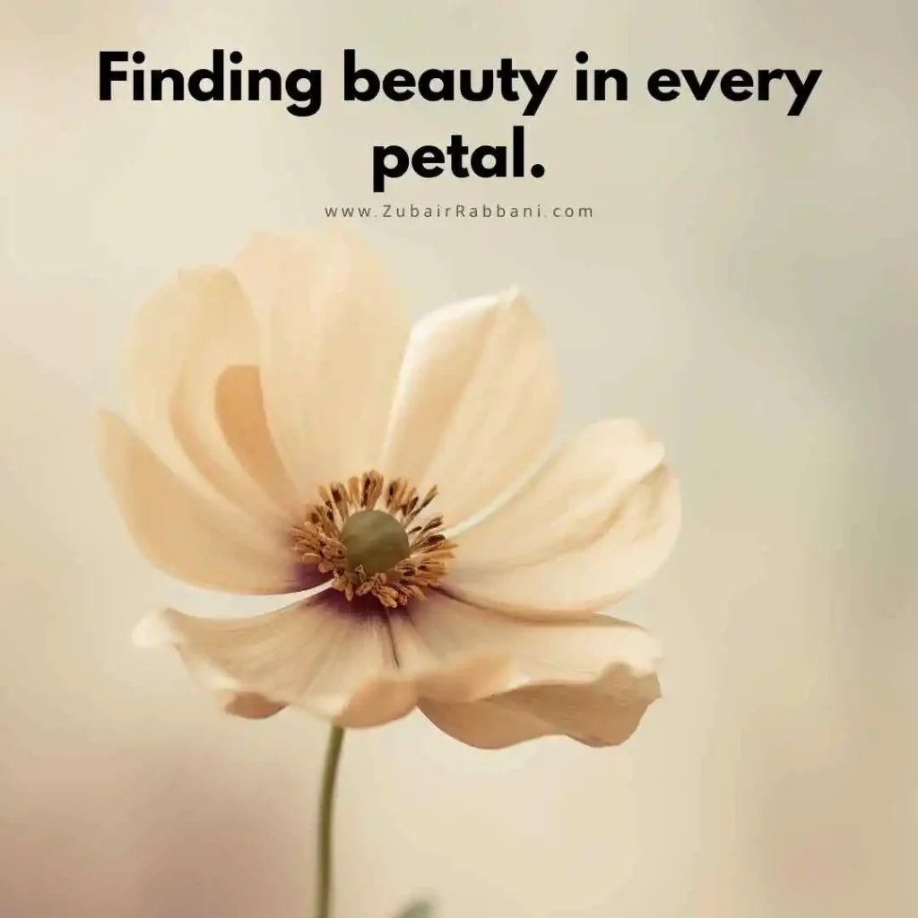285 Aesthetic Flower Captions For Instagram With Quotes