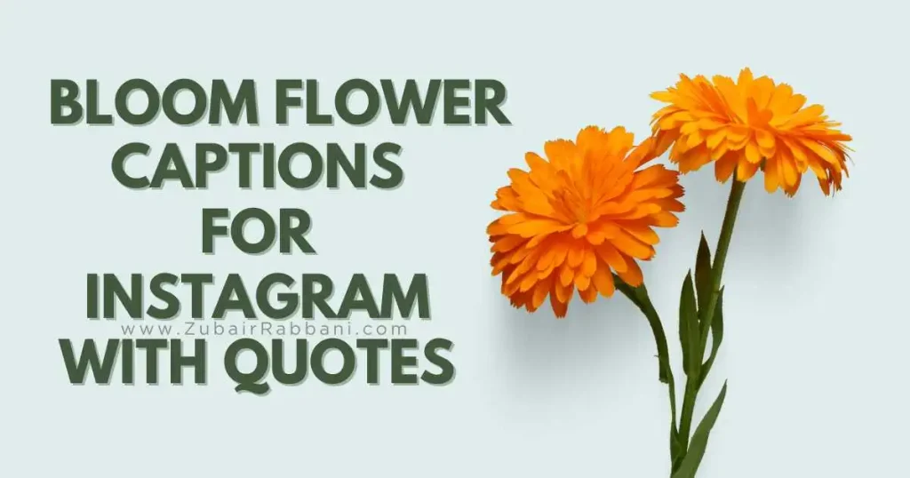 285 Aesthetic Flower Captions For Instagram With Quotes 285 Aesthetic Flower Captions For Instagram With Quotes
