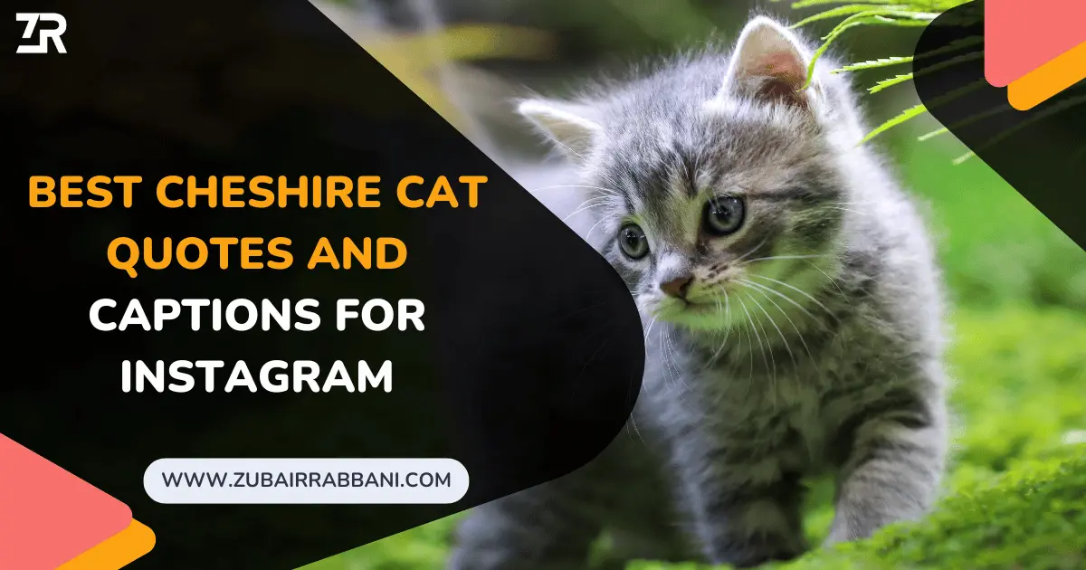 120 Best Cheshire Cat Quotes And Captions For Instagram
